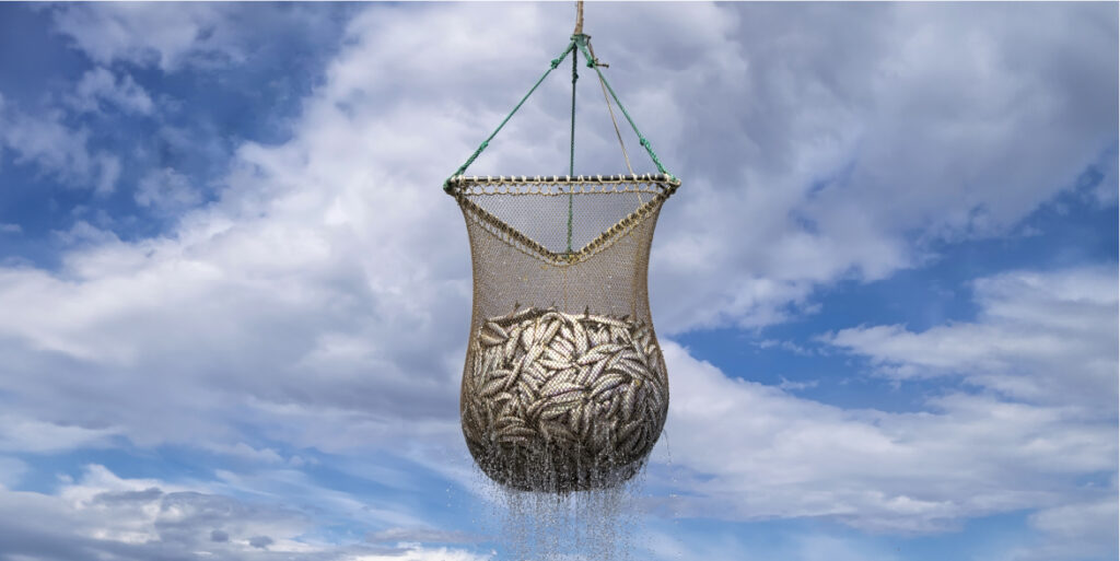 Waduh, Overfishing Bikin Ikan Berkurang Hampir 90%? - Aruna